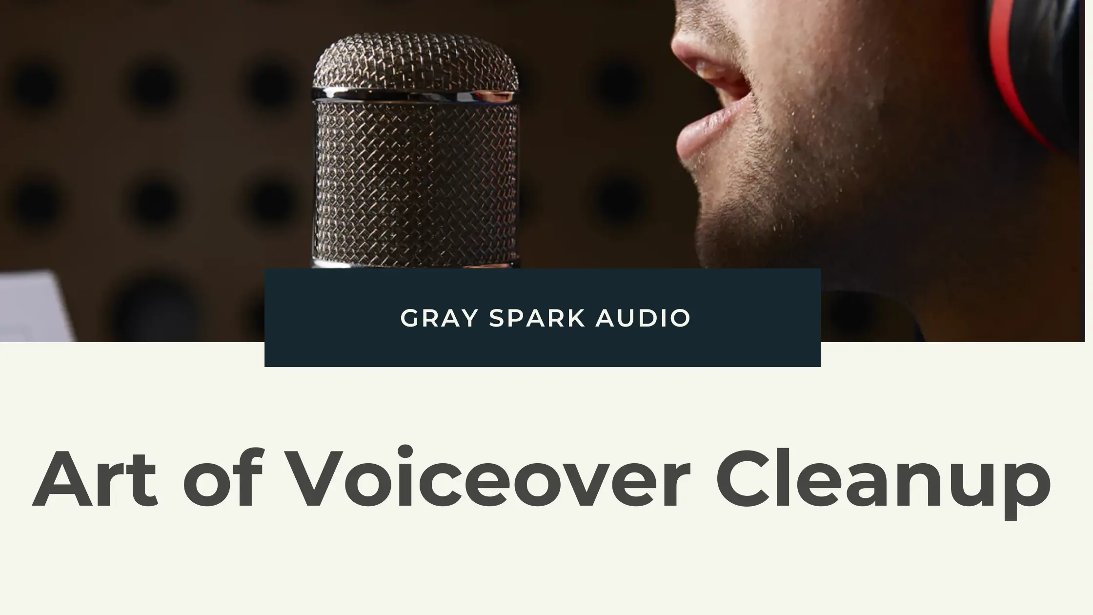 Art of Voiceover Cleanup - Grayspark Academy